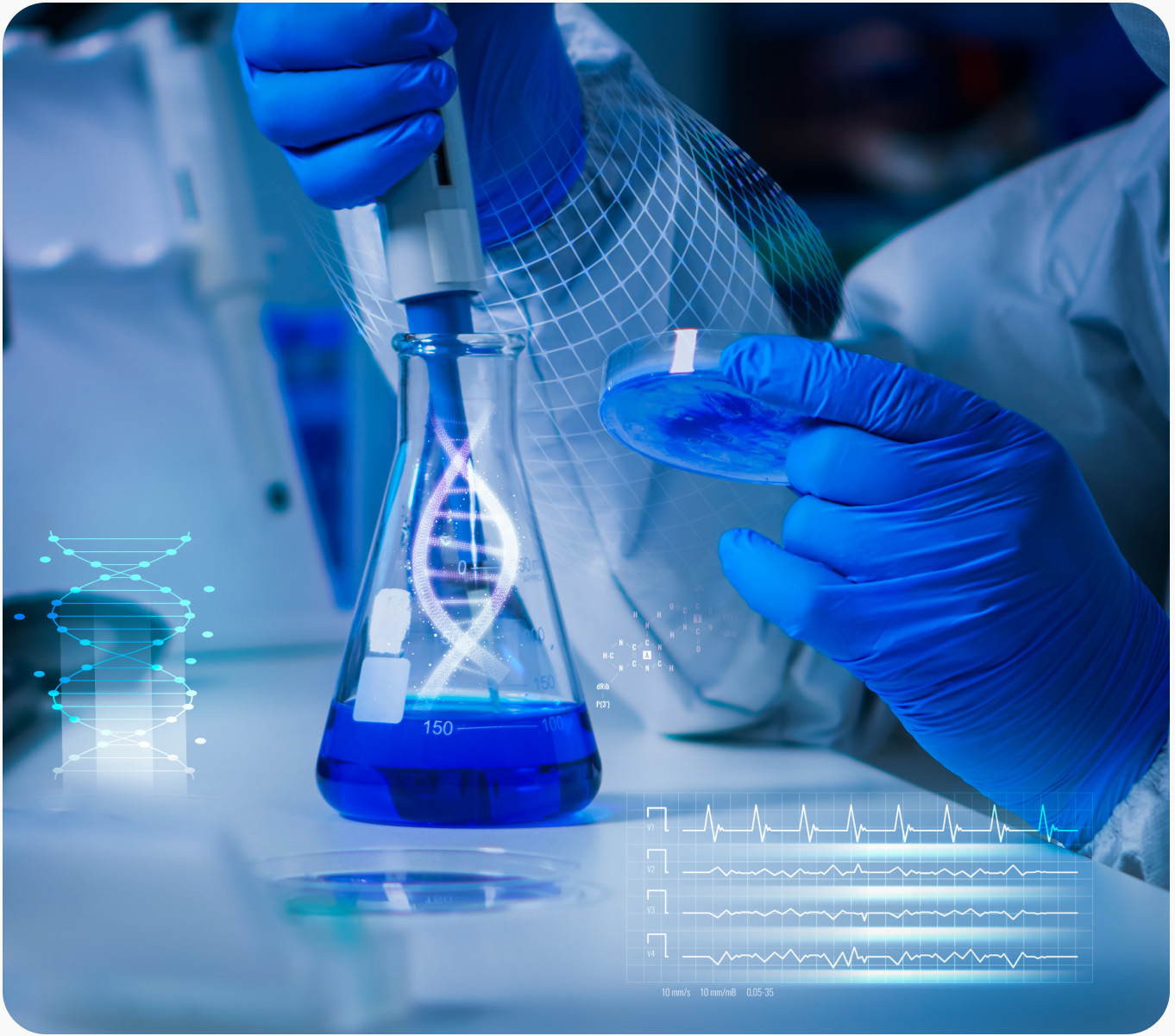 Celerity Supplies – Distribuidora Farmacêutica